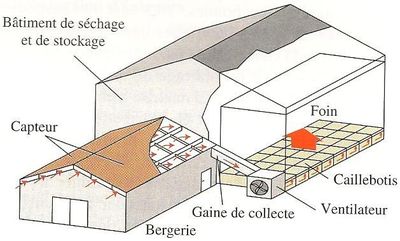 Séchage en grange - SCOP Bidegorry