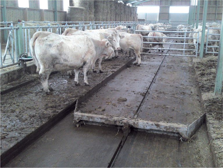 Racleur à câble - SCOP Bidegorry